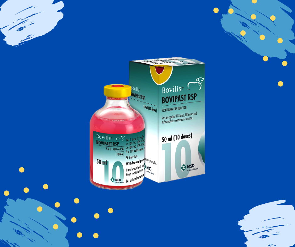 Bovilis® Bovipast RSP